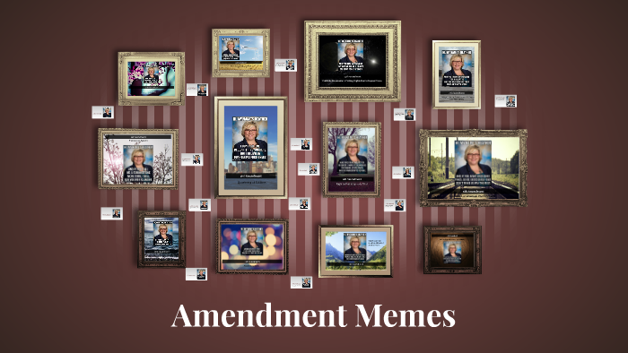 Amendment Memes by Ashley Flowers on Prezi