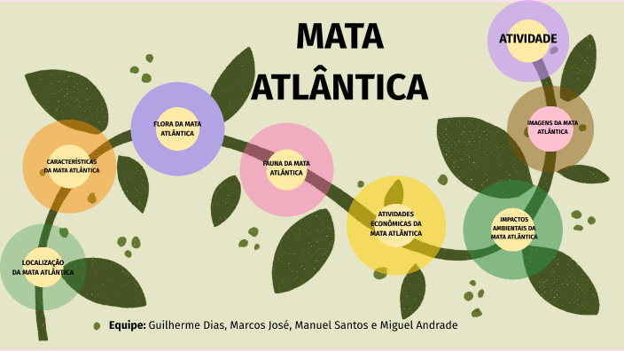 Bioma: Mata Atlântica by Miguel Andrade on Prezi