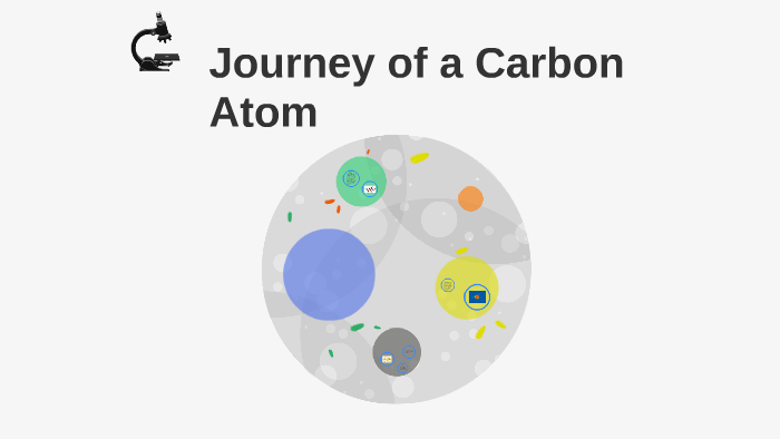 Journey of a Carbon Atom by Reyshma S on Prezi