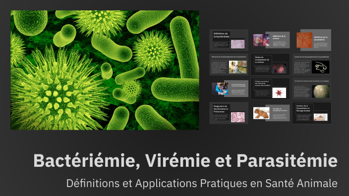 bactériemie / virémie & parasimié by anouar anouarr on Prezi