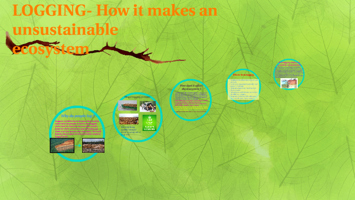 LOGGING- How it makes an unsustainable ecosystem by Rosie Wosie Hello ...