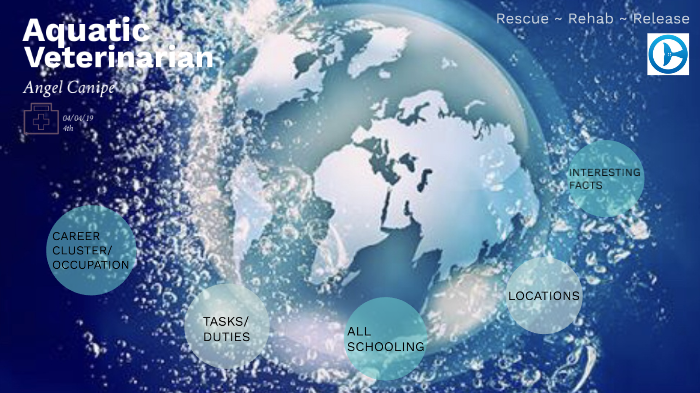 Career Project - Aquatic Vet by Angel Canipe on Prezi