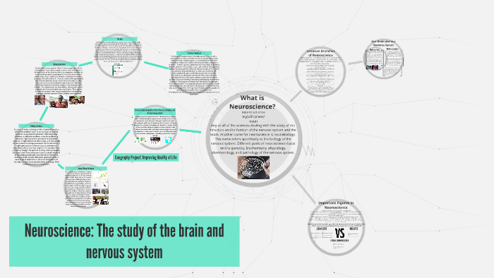 The History of Neuroscience by Garry Poopson on Prezi