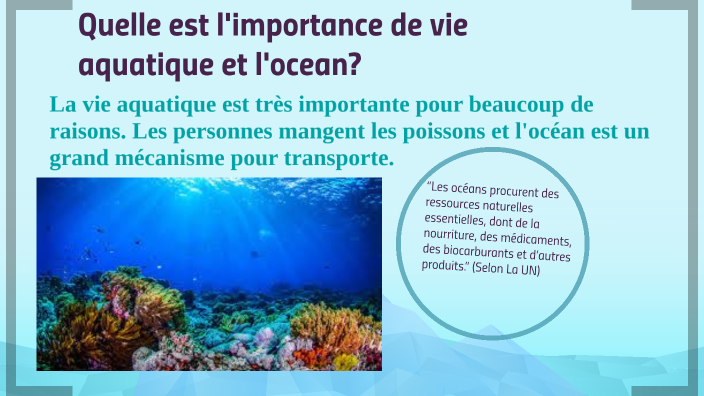 Vie Aquatique by Logan Roy-Lewis on Prezi