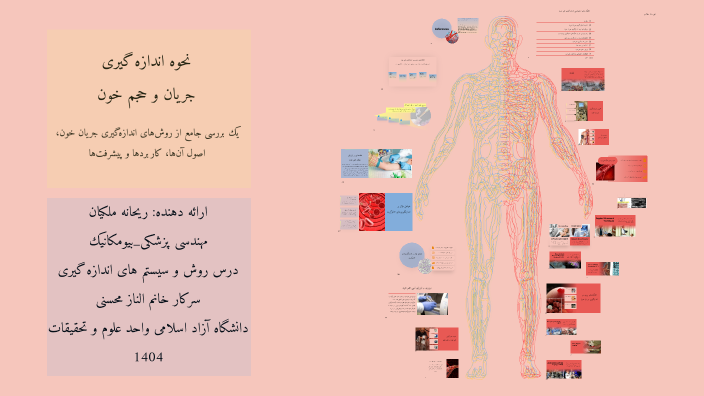 Measuring Blood Flow: Techniques and Applications - A Review by Reyhane ...