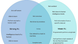 AI Venn Diagram by Cailee C on Prezi Design