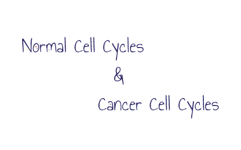 Normal Cell Cycle and Cancer Cell Cycle by Lydia Gray on Prezi