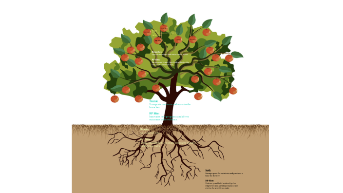 Success Tree by C M on Prezi