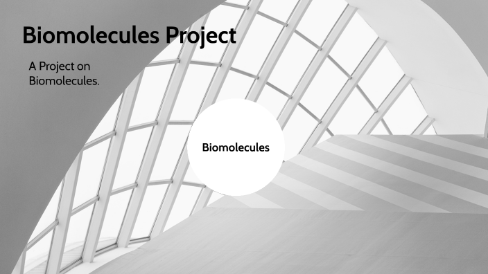 Biomolecules Project by Louis Veselka on Prezi