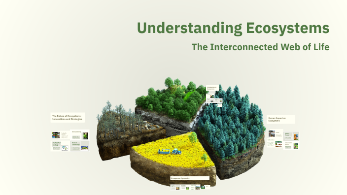 Understanding Ecosystems by s ta on Prezi