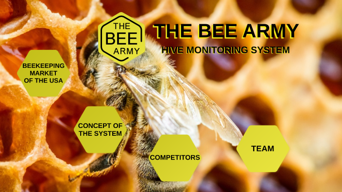 THE BEE ARMY #FIN_EN_SL by Max Bulanov on Prezi