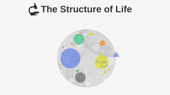The Structure of Life by Angelina Khoury on Prezi
