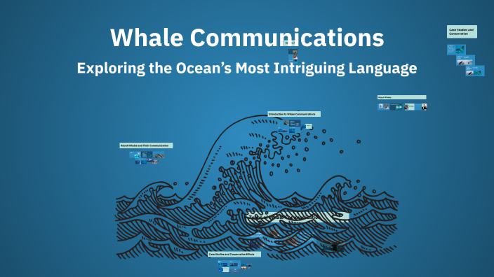 Whale Communications by easton owens on Prezi