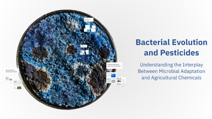 Bacterial Evolution and Pesticides by Andrew peng on Prezi