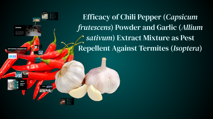 Efficacy of Chili Pepper and Garlic Extract as Pest Repellent Against ...