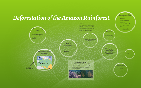 Deforestation of the Amazon Rainforest. by Peter Richards on Prezi