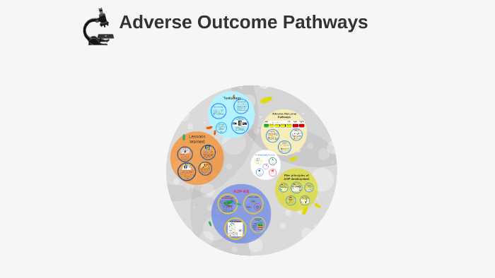 The Adverse Outcome Pathways Knowledge Base by Clemens Wittwehr on Prezi