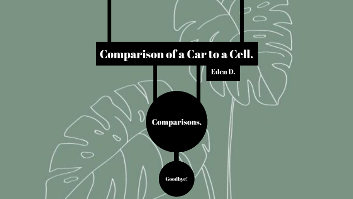 Comparison of a Car to a Cell by Eden Delong on Prezi