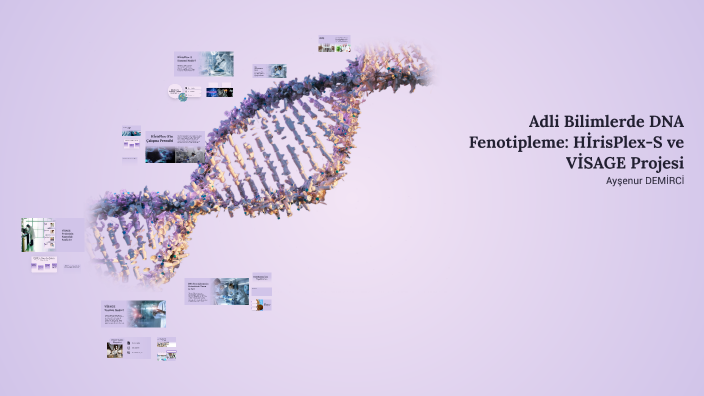Adli Bilimlerde DNA Fenotipleme: HİrisPlex-S ve VİSAGE Projesi by ...
