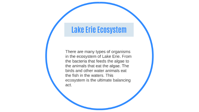 Lake Erie Ecosystem by Daniel Slaughter on Prezi