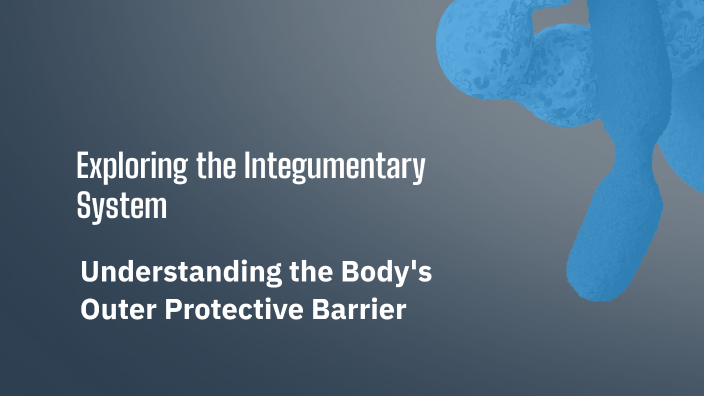 Exploring the Integumentary System by angel rojas on Prezi