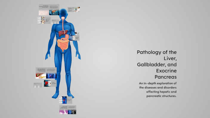 Pathology of the Liver, Gallbladder, and Exocrine Pancreas by Jonas ...