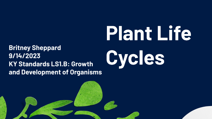 The Life Cycle of Plants by Britney Sheppard on Prezi