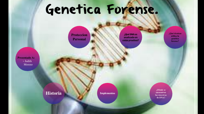 Genética Forense by Carol Yineth on Prezi