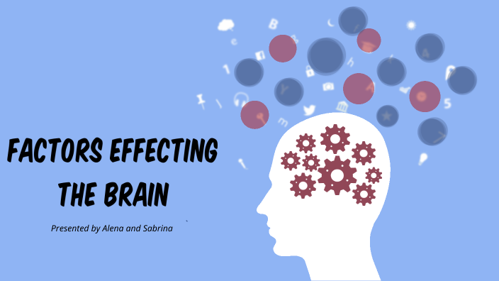 Factors Effecting the Brain by alena j on Prezi