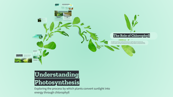 Understanding Photosynthesis by Catherine Faith Villaruz on Prezi
