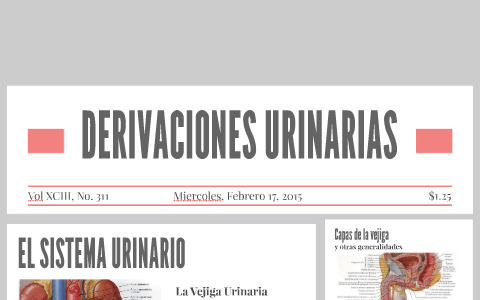 DERIVACIONES URINARIAS by Edson Arroyo on Prezi
