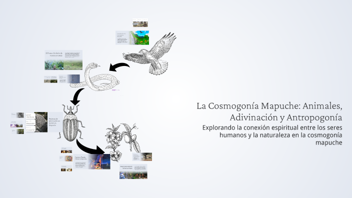 La Cosmogonía Mapuche: Animales, Adivinación y Antropogonía by matias ...