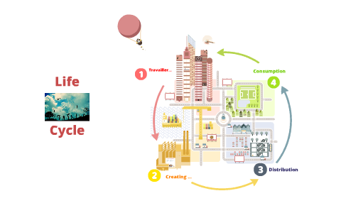 Life Cycle by Chia Thao