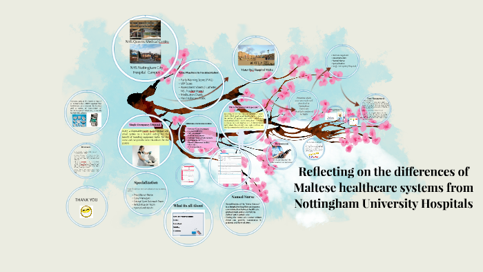 Reflecting on the differences of Maltese healthcare systems by Michelle ...