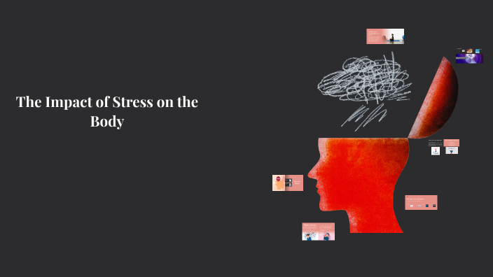 The Impact of Stress on the Body by areli resendiz on Prezi