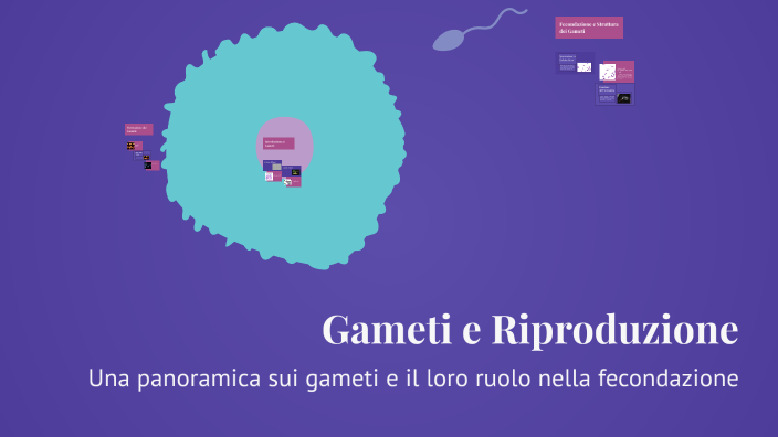 Gameti e Riproduzione by Cecilia Rosso on Prezi