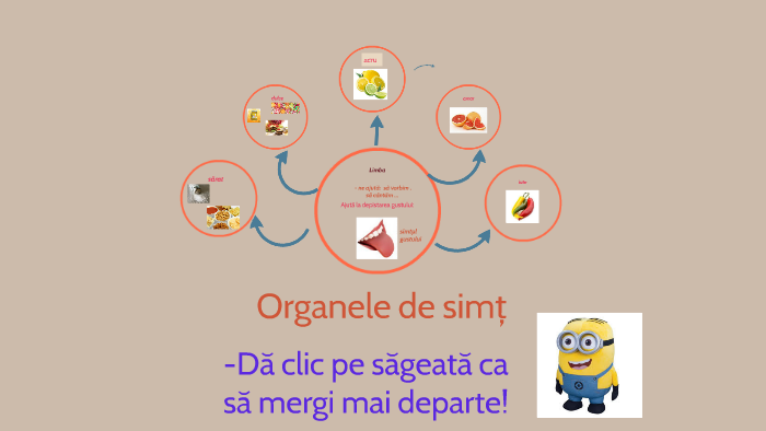 Limba- organ de simt by deaconescu genoveva on Prezi