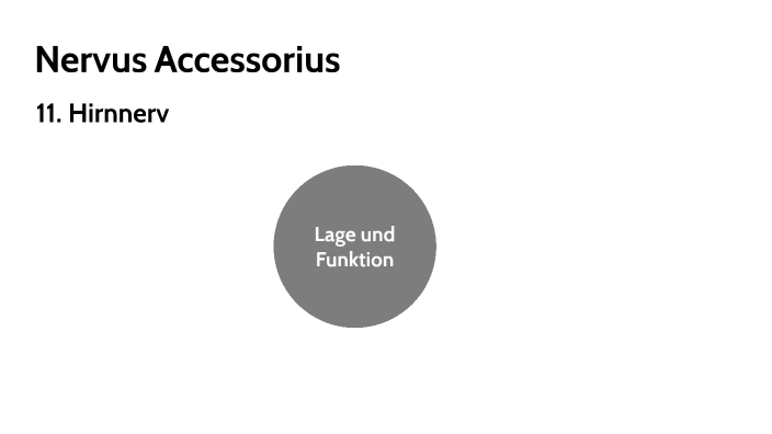 Nervus Accessorius (XI) by Marie Osten on Prezi