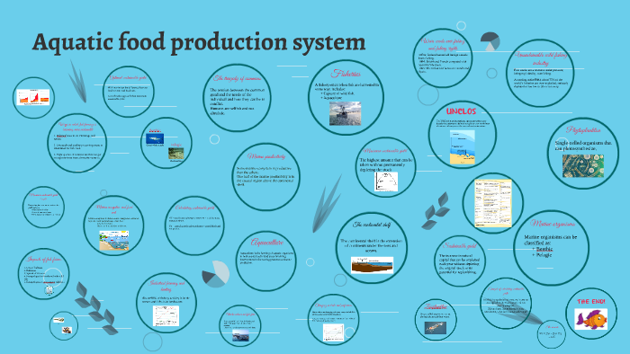 Aquatic food production system by Linh Nguyen on Prezi