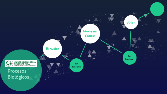 Procesos biologicos by Yir Rojas Mendez on Prezi