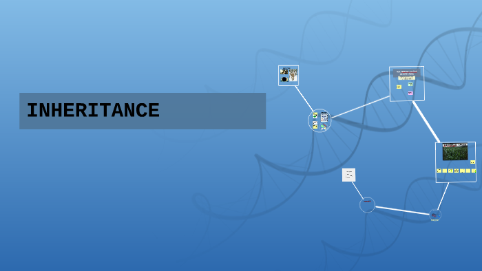 INHERITANCE by Peter Gulian on Prezi