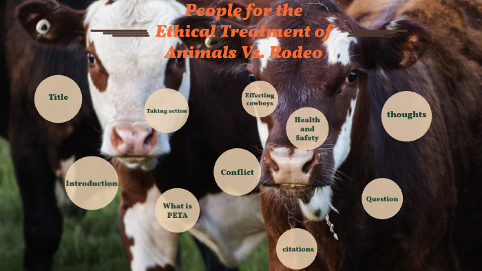 PETA Vs. Rodeo by Brooke Powell on Prezi