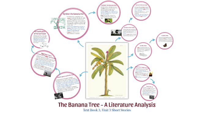The Banana Tree by Judy Leung on Prezi
