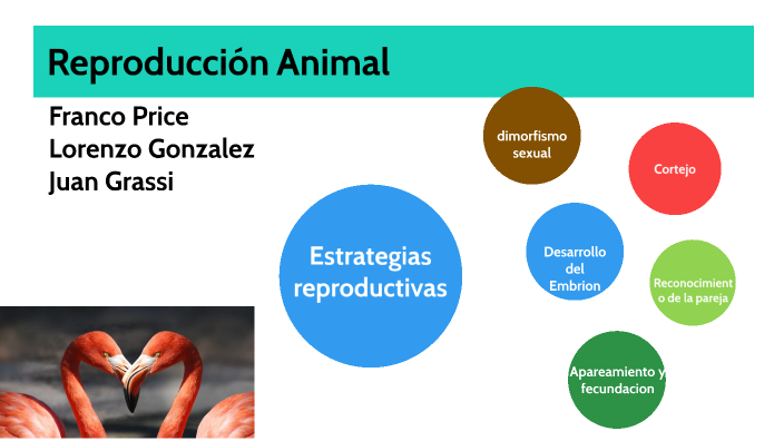 Reproduccion Animal by Esteban Grassi on Prezi