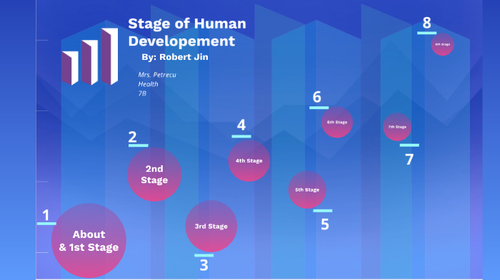 Stages of Human Development by Robert Jin on Prezi