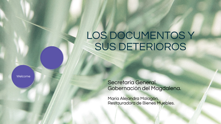 EL MATERIAL DOCUMENTAL Y SUS DETERIORO by MARIA MALAGON on Prezi