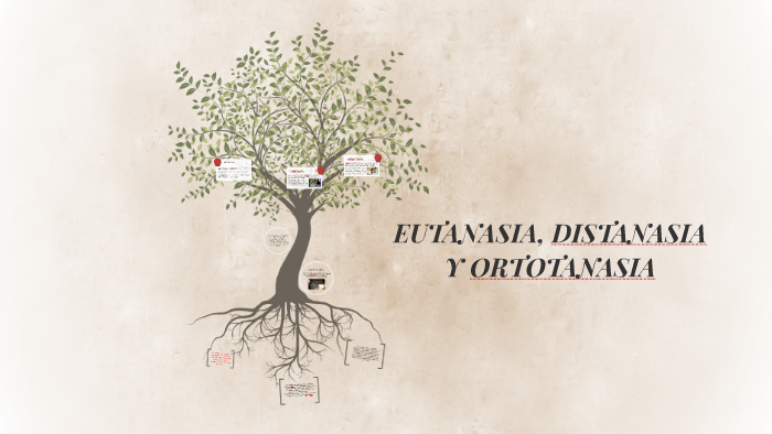 EUTANASIA, DISTANASIA Y ORTOTANASIA by ximena gonzalez on Prezi