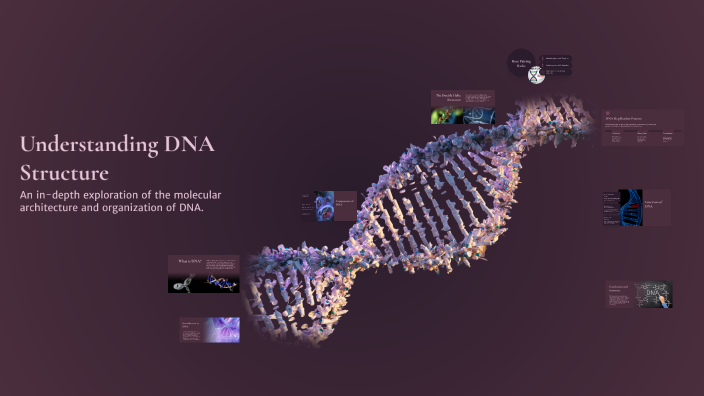 Understanding DNA Structure by Layan Mussa on Prezi