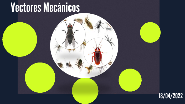Vectores Mecánicos by MICAELA KARINA MARQUINEZ AYAVACA on Prezi