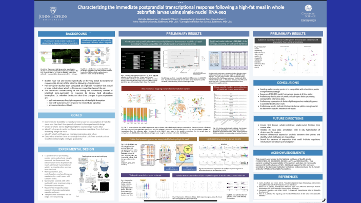 FASEB by Michelle Biederman on Prezi